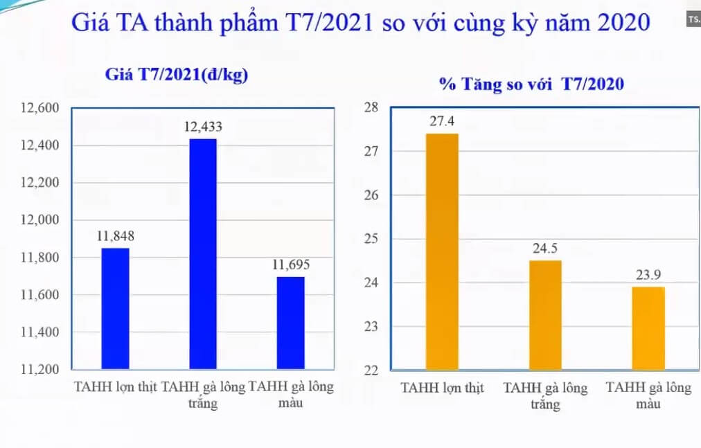 Ngành chăn nuôi lợn: Làm sao để vượt qua đại dịch Covid-19? - BIOFARM ...