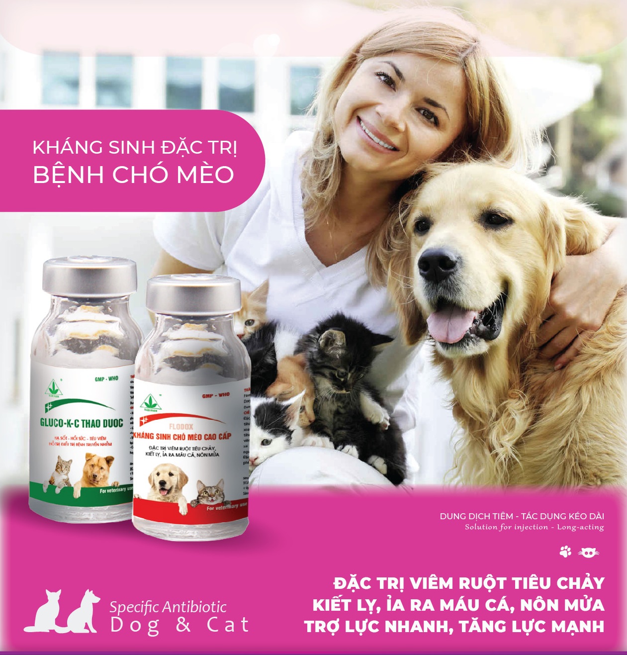 CẶP KHÁNG SINH CHÓ MÈO CAO CẤP - Biofarm